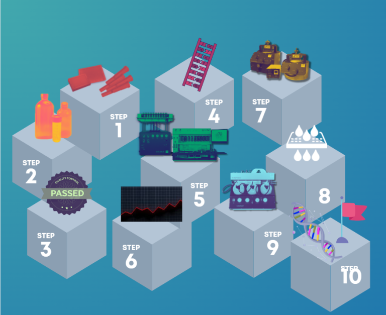 A 10 Step Guide to Oligonucleotide Synthesis [2023] – Biolytic Blog ...